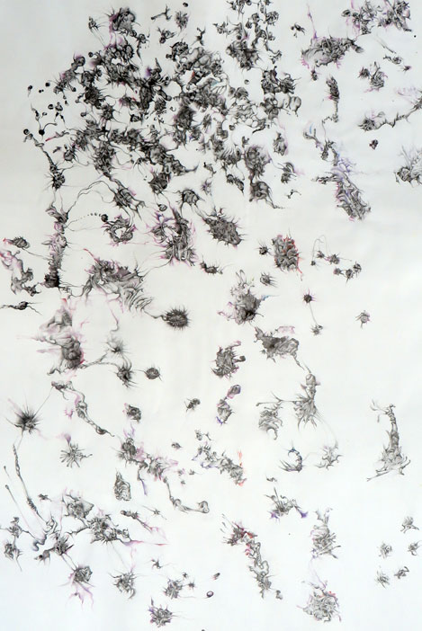 The blot drawing finished – evolution – anna warren portfolio