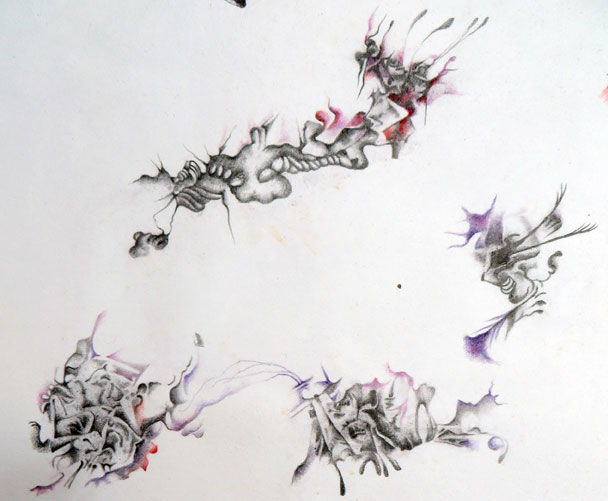 The blot drawing finished – evolution – anna warren portfolio