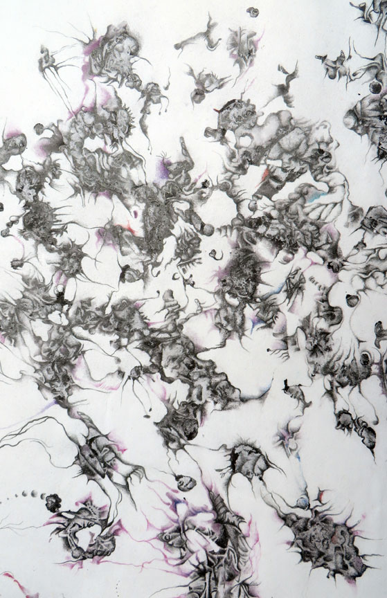 The blot drawing finished – evolution – anna warren portfolio