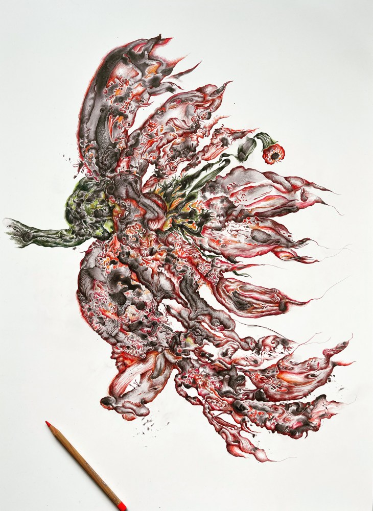 Liquid pencil drawings – anna warren portfolio