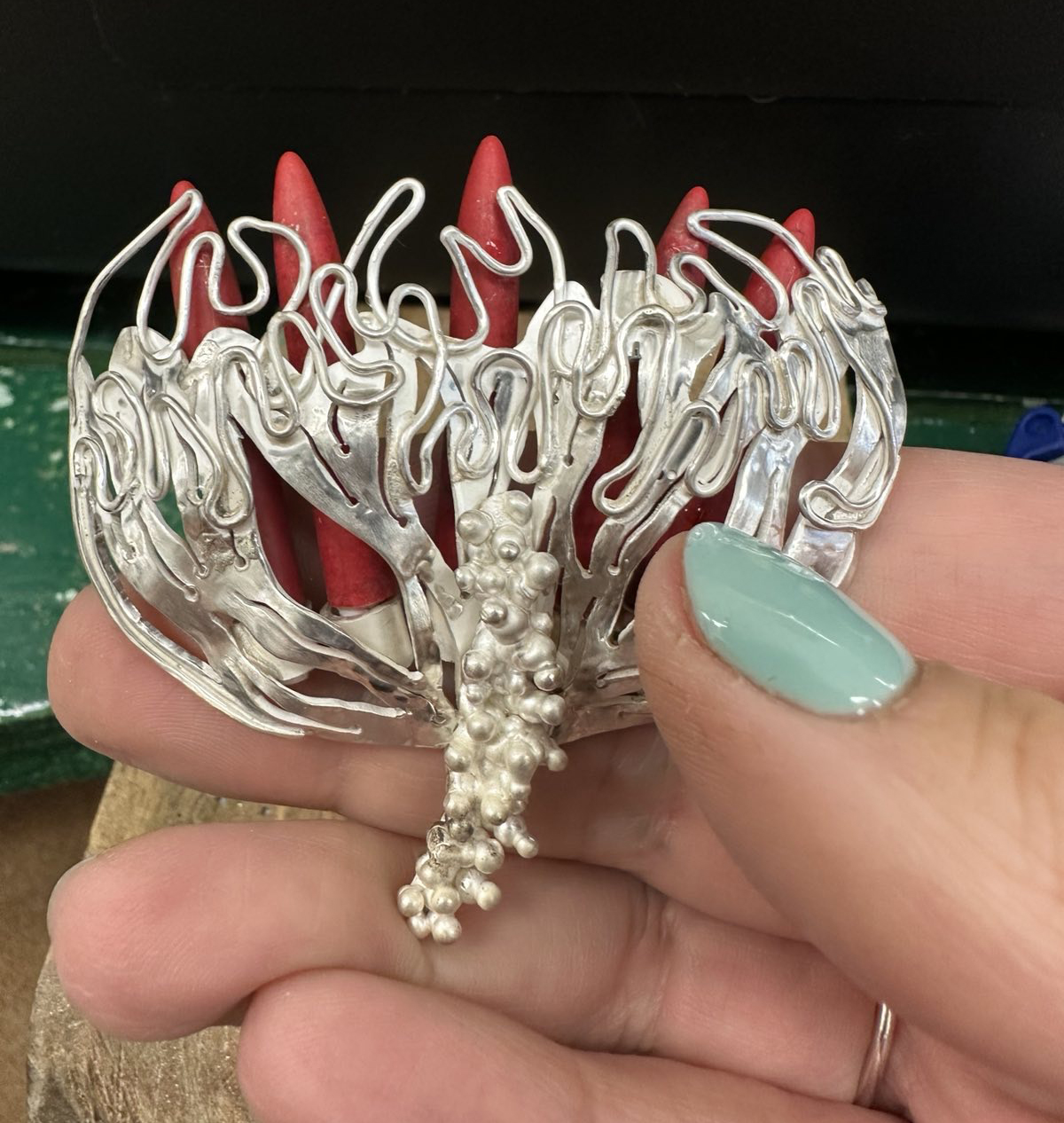 anna warren portfolio – looking for beauty in the small things