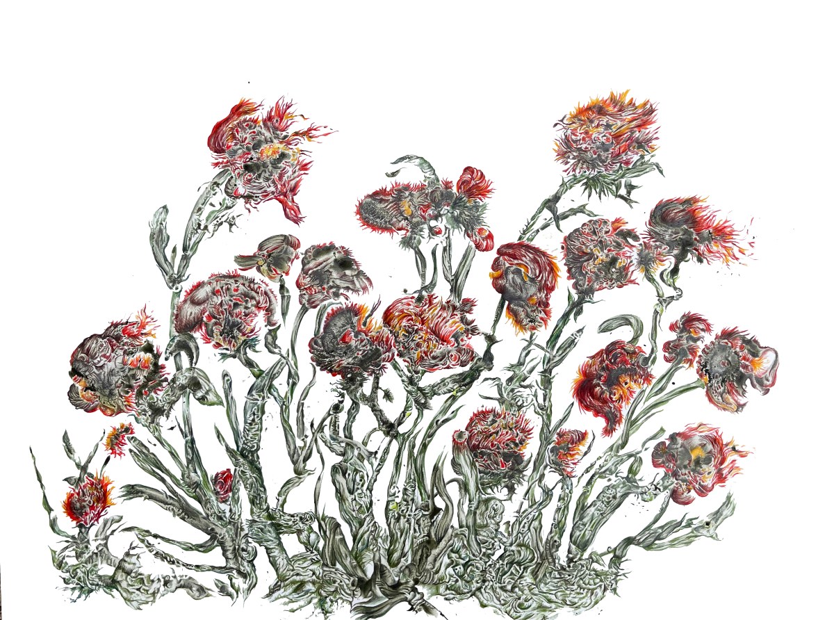 Some new drawings – anna warren portfolio